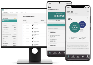 Coconut Accounting For Freelancers - keep it simpElle